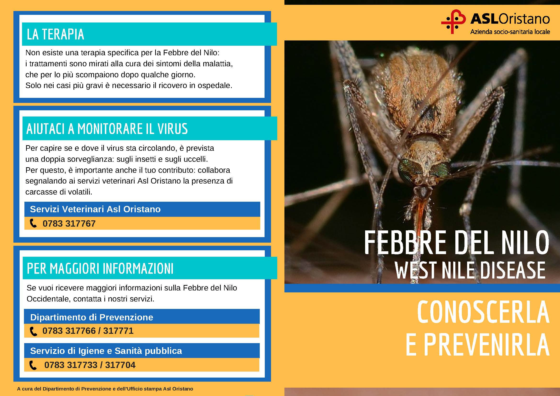 Febbre del Nilo - Come riconoscerla e difendersi | Comune di Oristano